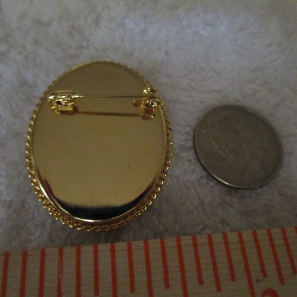 Unbranded | Jewelry | Vintage Resin Cameo Brooch Pin Newer Piece | Poshmark